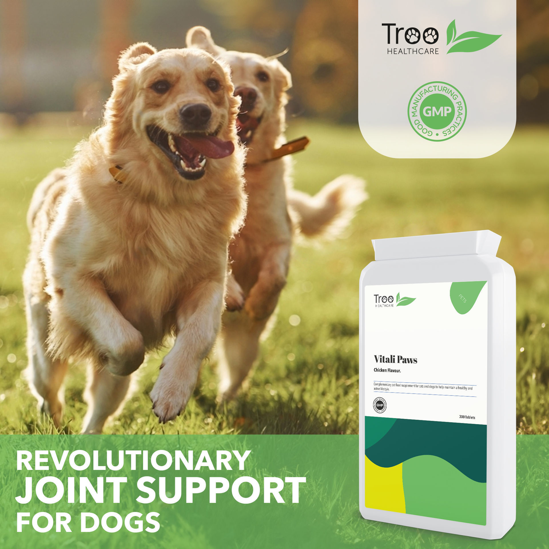 Joint Support with Green Lipped Mussel for Pets, Dogs, Cats - Troo ...